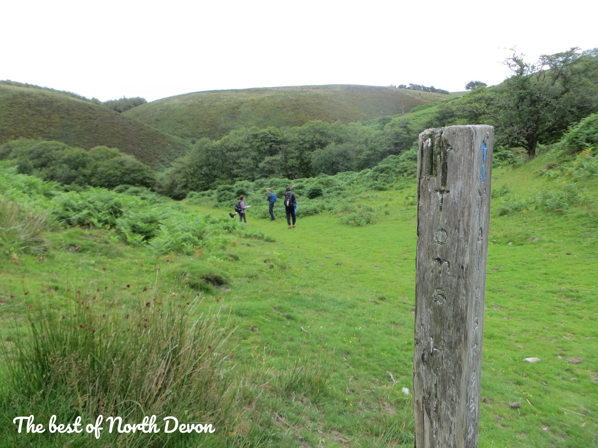 Lorna Doone Valley from Malmsmead – Walk Idea – Best of North Devon